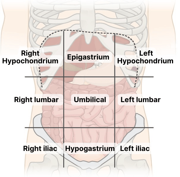 Role Of Endoscopy In The Evaluation Of Abdominal Pain Medigest Role Of Endoscopy In The Evaluation Of Abdominal Pain Medigest